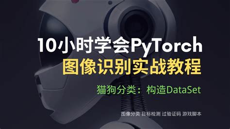 Pytorch图像识别教程【第17集】 猫狗分类：构造dataset Pytorch 深度学习 卷积神经网络 Python Youtube
