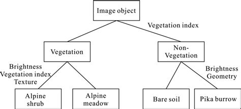 Flowchart Of Decision Tree Classification Download Scientific Diagram