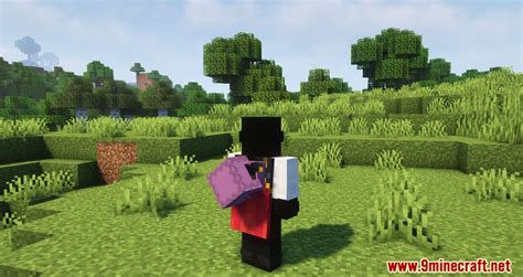 Shulker Box Slot Mod Wear The Shulker Mc Mod Net