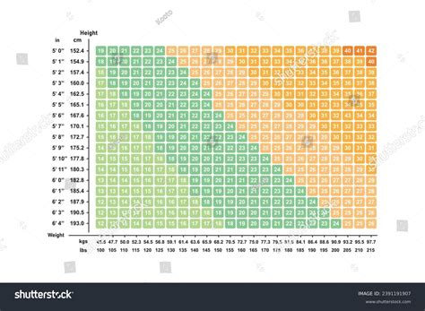 Body Mass Index Bmi Concept Design Stock Vector Royalty Free