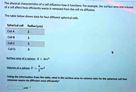 The Physical Characteristics Of A Cell Influence How It Functions For Example The Surface Area