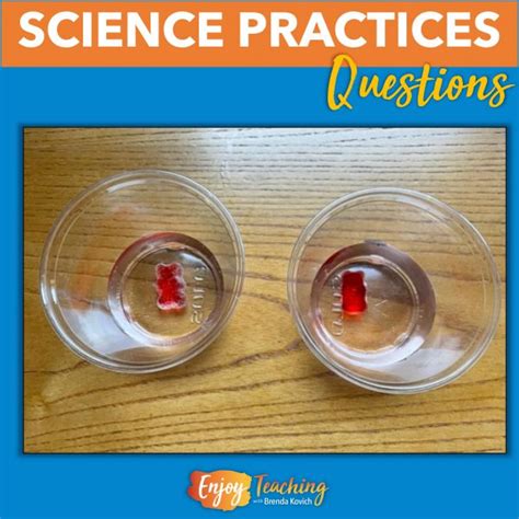 How To Make Testable Questions For Science How To Make Testable Questions For Science