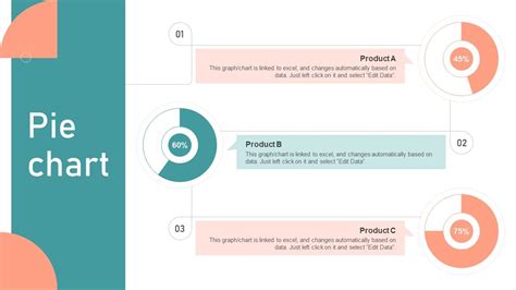 Pie Chart Customer Segmentation Targeting And Positioning Guide For