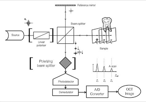 Figure 1 From Early Caries Detection Using Optical Coherence Tomography A Review Of The