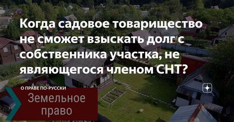 Когда садовое товарищество не сможет взыскать долг с собственника участка не являющегося членом