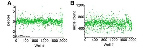 Figure 1 From A Podocyte Based Automated Screening Assay Identifies Protective Small Molecules
