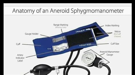 Sphygmomanometer Youtube
