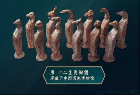 中国电视 中国国宝大会第二季万物皆灵休戚与共