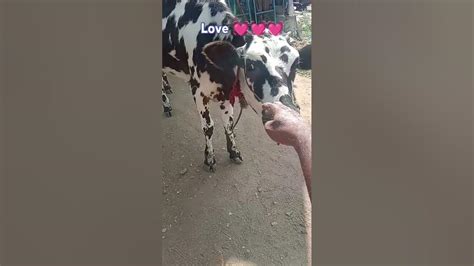 படிக்காத மேதை திரைப்படத்திலிருந்து ஒரே ஒரு ஊரிலே Youtube