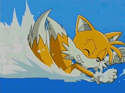 Tails The Fox Female Married Sonic Alternate Universe Amino