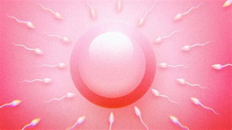 XCL Superseded Temp Breeder Pill Mod Other Unsorted LoversLab