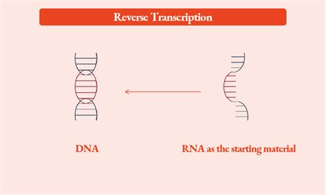 RNA Related SBS Genetech For Superior Biology Services Since