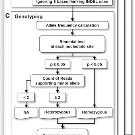Workflow Of Heap Algorithm Download Scientific Diagram