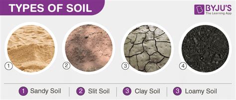 Compaction Test Of Soil Methods Significance Certified MTP Blog