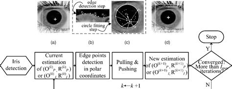 Figure From Toward Accurate And Fast Iris Segmentation For Iris Biometrics Semantic Scholar