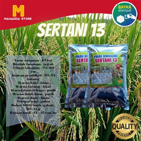 Jual Benih Padi Unggul Sertani Kg Shopee Indonesia