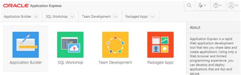 oracle health check collections manager for oracle application express 5 0