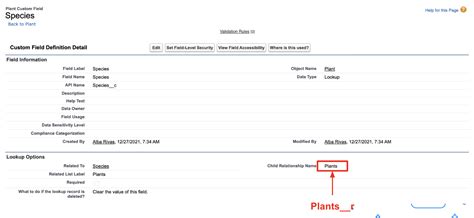 Working With Salesforce Records Using Soql And Dml Salesforce