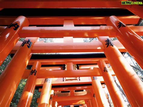 Ado Wiki Biography Age Gallery Spouse And More