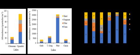Microplastic Abundance According To Shape In Urban Lakes Of The