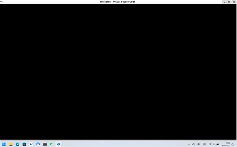 为什么一键安装的vscode无法正常打开，处于黑屏状态 鱼香ros