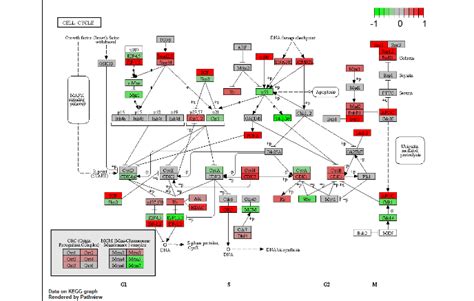 How To Get Pathview Plot Displayed Directly Rather Than Saving As A File In R Stack Overflow