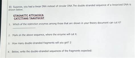 Solved B Suppose You Had A Linear DNA Instead Of Circular Chegg Com