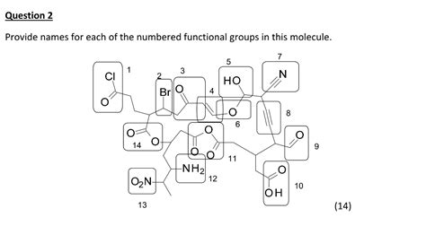 Solved Question Provide Names For Each Of The Numbered Chegg