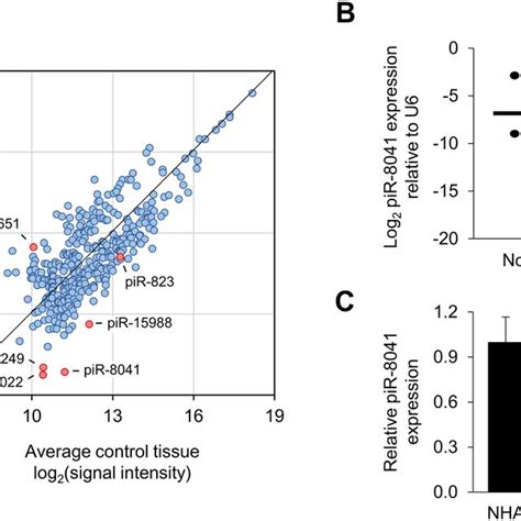 Pirna Expression Profiling Results And Confirmation Of Pir 8041 Download Scientific Diagram