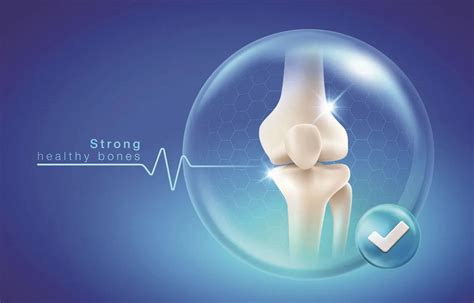 Holistic Approaches To Bone Health Beyond Calcium — Natures Zest