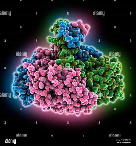 Banna Virus Bav Outer Coat Protein Vp9 Computer Model Showing The Trimeric Structure Of The