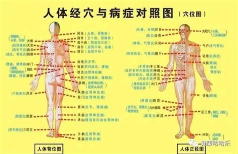學習臟腑學認識六腑臟腑之間的相互聯繫 每日頭條