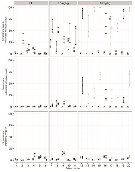 Ihc Triplicate Measures From Skeletal Muscle Biopsies Per Individual