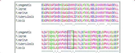 Multiple Sequence Alignment Multiple Sequence Alignment Of FtsY Gene Download Scientific