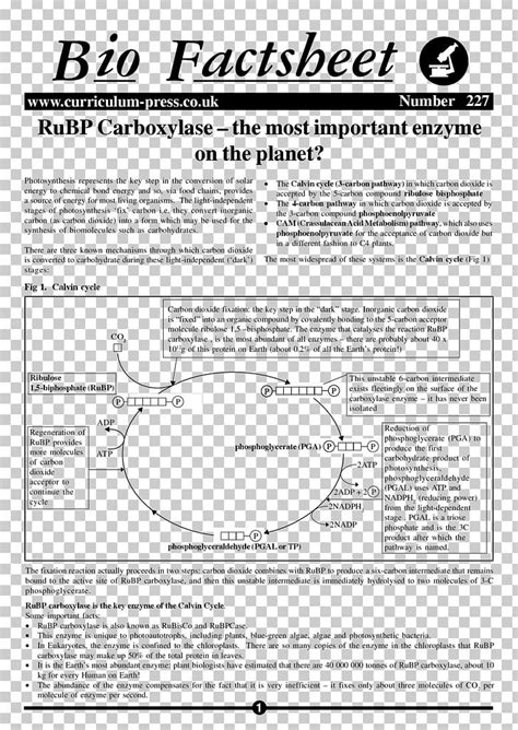 Spearmans Rank Correlation Coefficient Correlation And Dependence Pearson Correlation