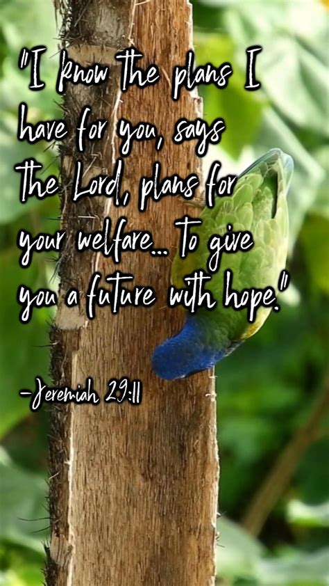 Jeremiah 29 11 Artofit