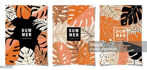 포스터 카드 표지 라벨 현대적인 미니멀리스트 스타일의 배너와 열대 잎 꽃 식물이 있는 간단한 여름 디자인 템플릿을 위한 여름
