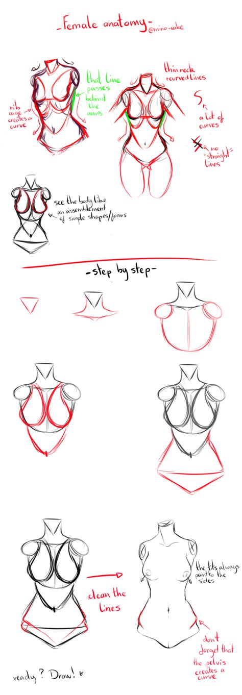 Female Anatomy Body Drawing Tutorial Female Anatomy Face Art Drawing