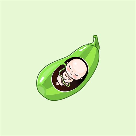 Can You Ovulate Twice Myths And Facts About Double Ovulation