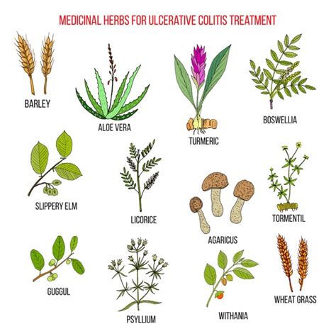 Barley Turmeric Over 5 Royalty Free Licensable Stock Vectors And Vector