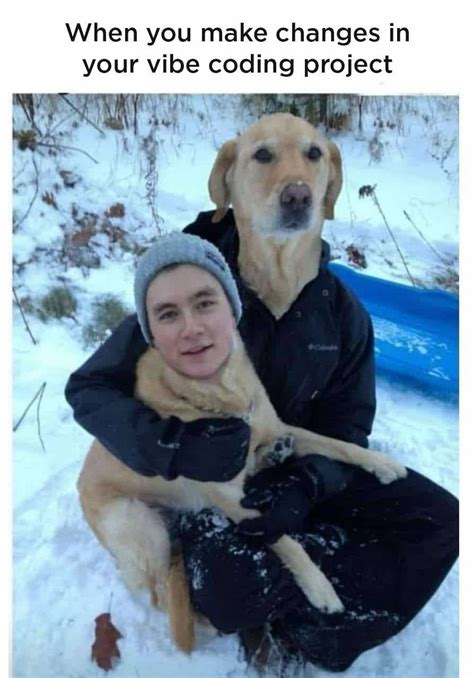 Get In Touch For Partnership On Vibe Codingworks 😝 😂 Lazy Programmer