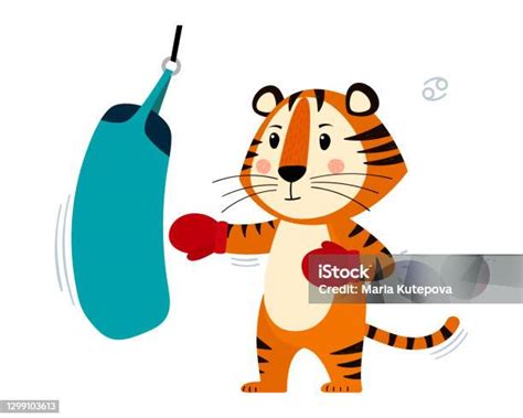 귀여운 만화 줄무늬 빨간 호랑이 호랑이 권투 펀칭 가방을 펀치 어린이 용 티셔츠 인사말 카드 포스터 인쇄 흰색으로 격리된 손으로 그린 벡터 스톡 일러스트레이션 가공의 인물에