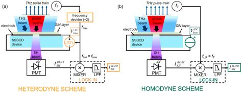Homodyne Solid State Biased Coherent Detection Of Ultra Broadband Terahertz Pulses With Static