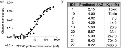 Determining Binding Affinity Constants Using Fluorescence Anisotropy Download Scientific