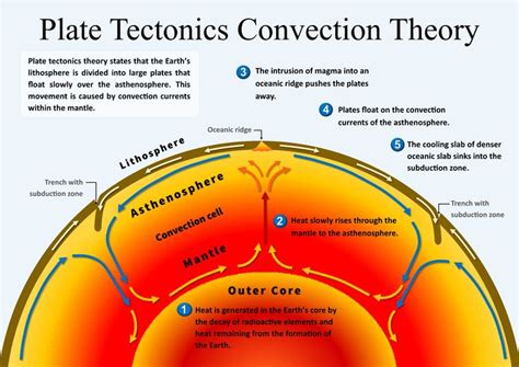 Kettle Convection Plate At Patty Clark Blog