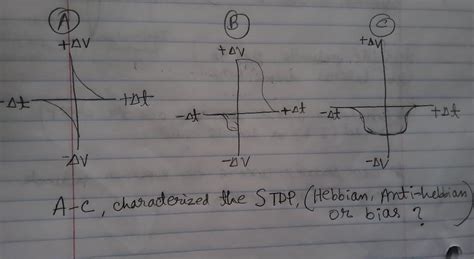 solved a c charaderized the stdp hebbiam anti hedian or
