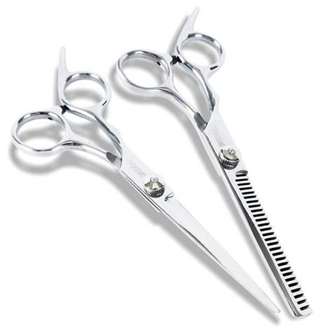 애견 미용 가위 추천 10가지 종류별 용도와 고르는 방법은 비마이펫 라이프