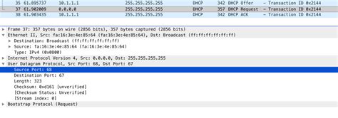 Understanding DHCP Networks Learning