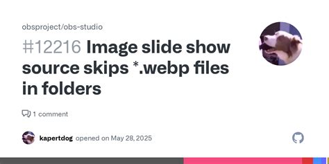 Image Slide Show Source Skips Webp Files In Folders · Issue 12216