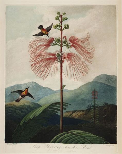 Generate All Plantuml Diagrams Ryan Gates